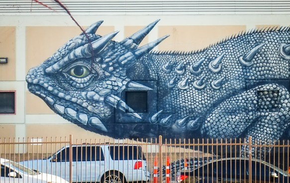 ROA Horned Toad | Eyes on the Streets