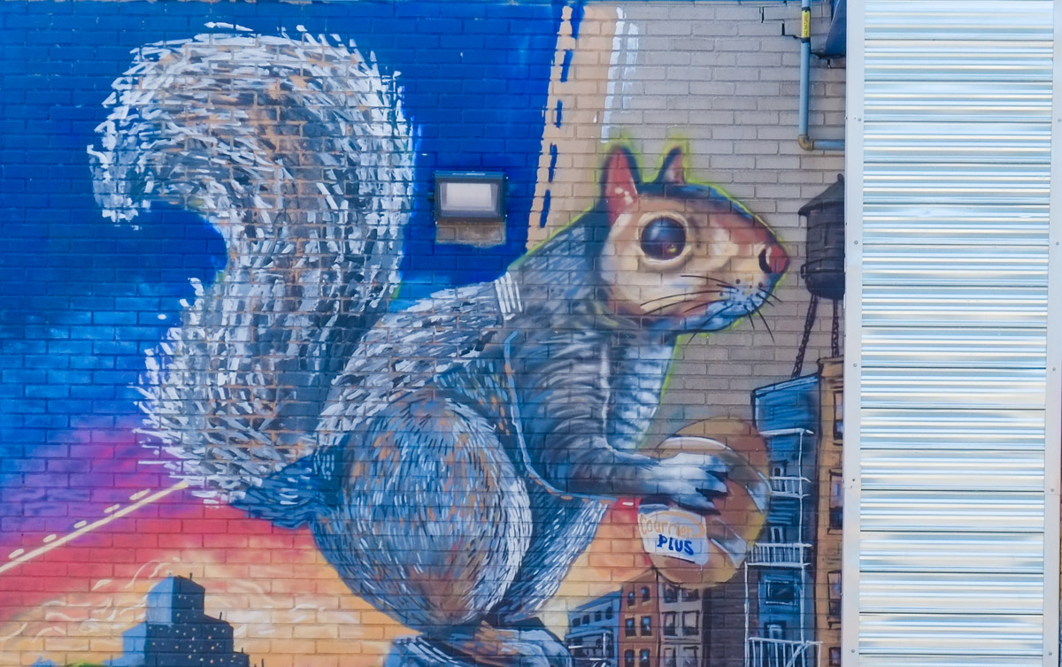 animals on rue Ontario | Eyes on the Streets