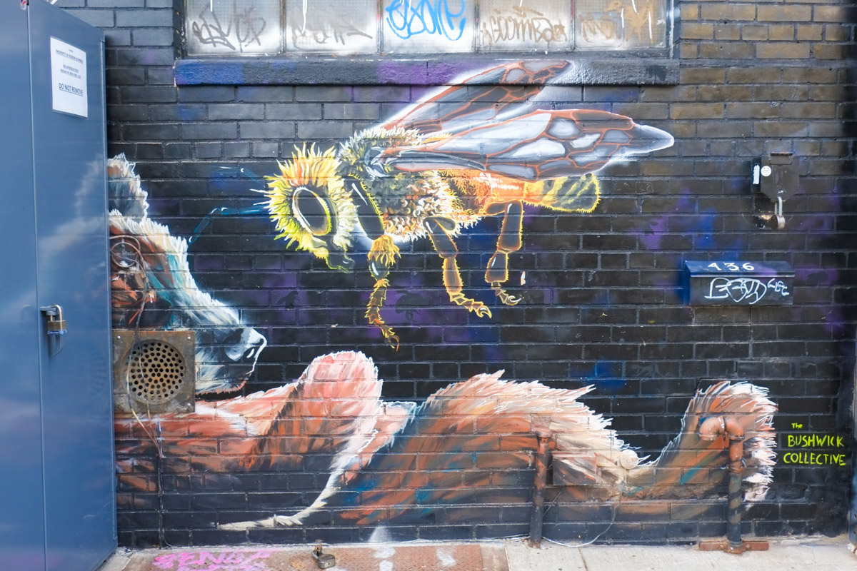 Bushwick bears, bees, and other animals | Eyes on the Streets