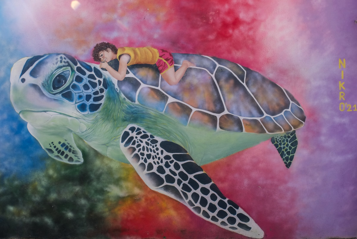 Stornara – riding turtles and reading cats | Eyes on the Streets